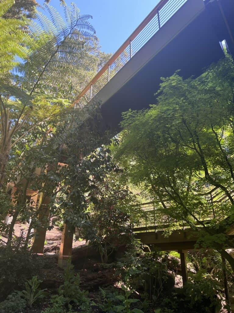 Berkeley Carbon Fiber Bridge - Martin/Martin